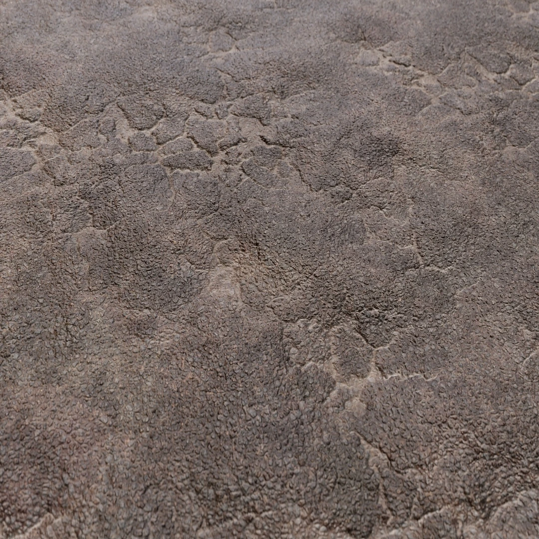 Aged Urban Asphalt Texture 3803 - LotPixel