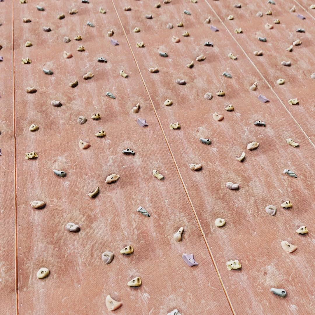 Climbing Wall Texture 3510 - LotPixel