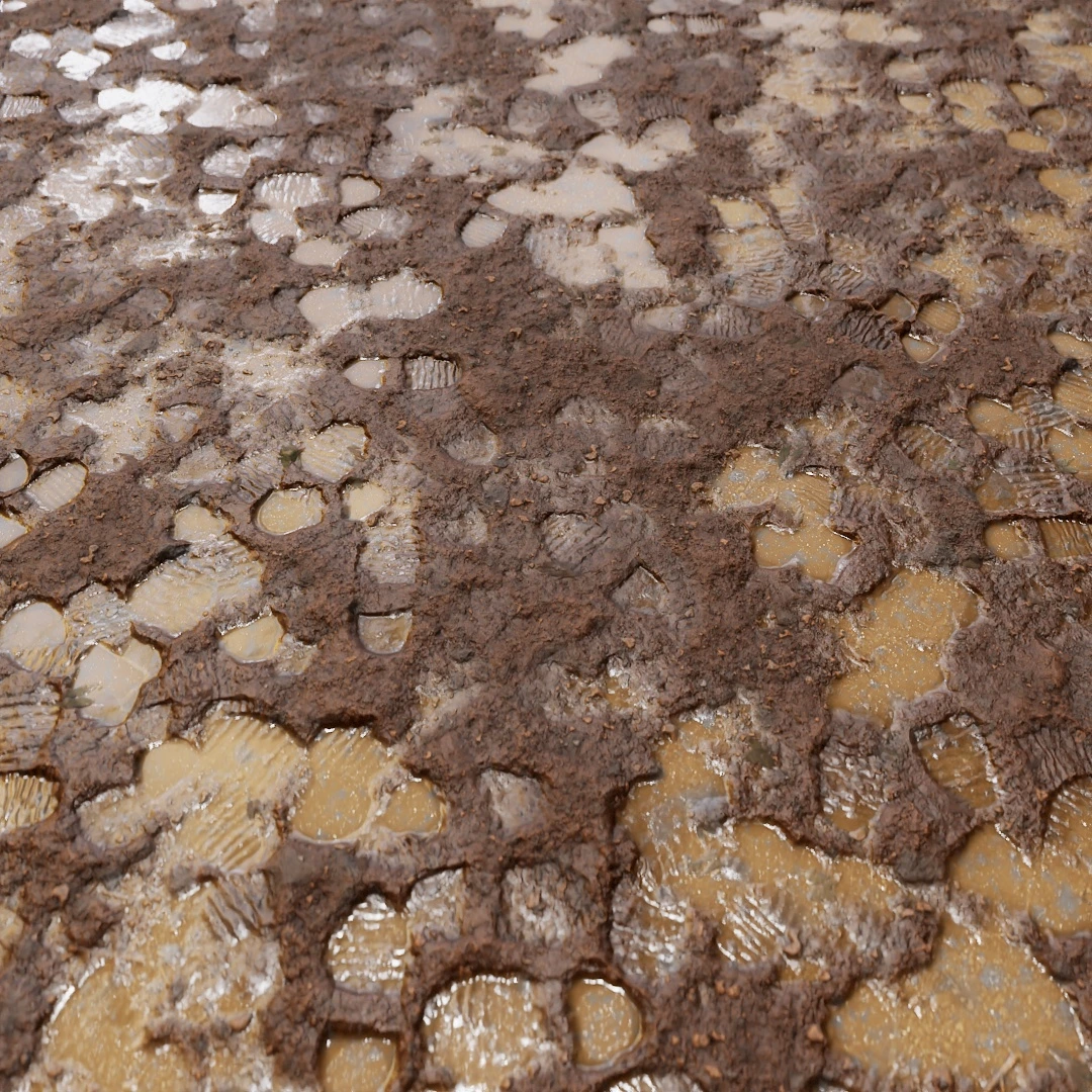Cracked Mud Footprint Texture 1556 - LotPixel