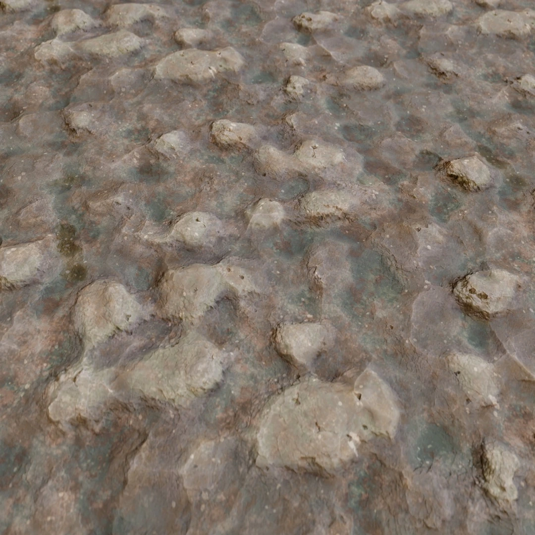 Cracked Wet Mud Texture 1206 - LotPixel