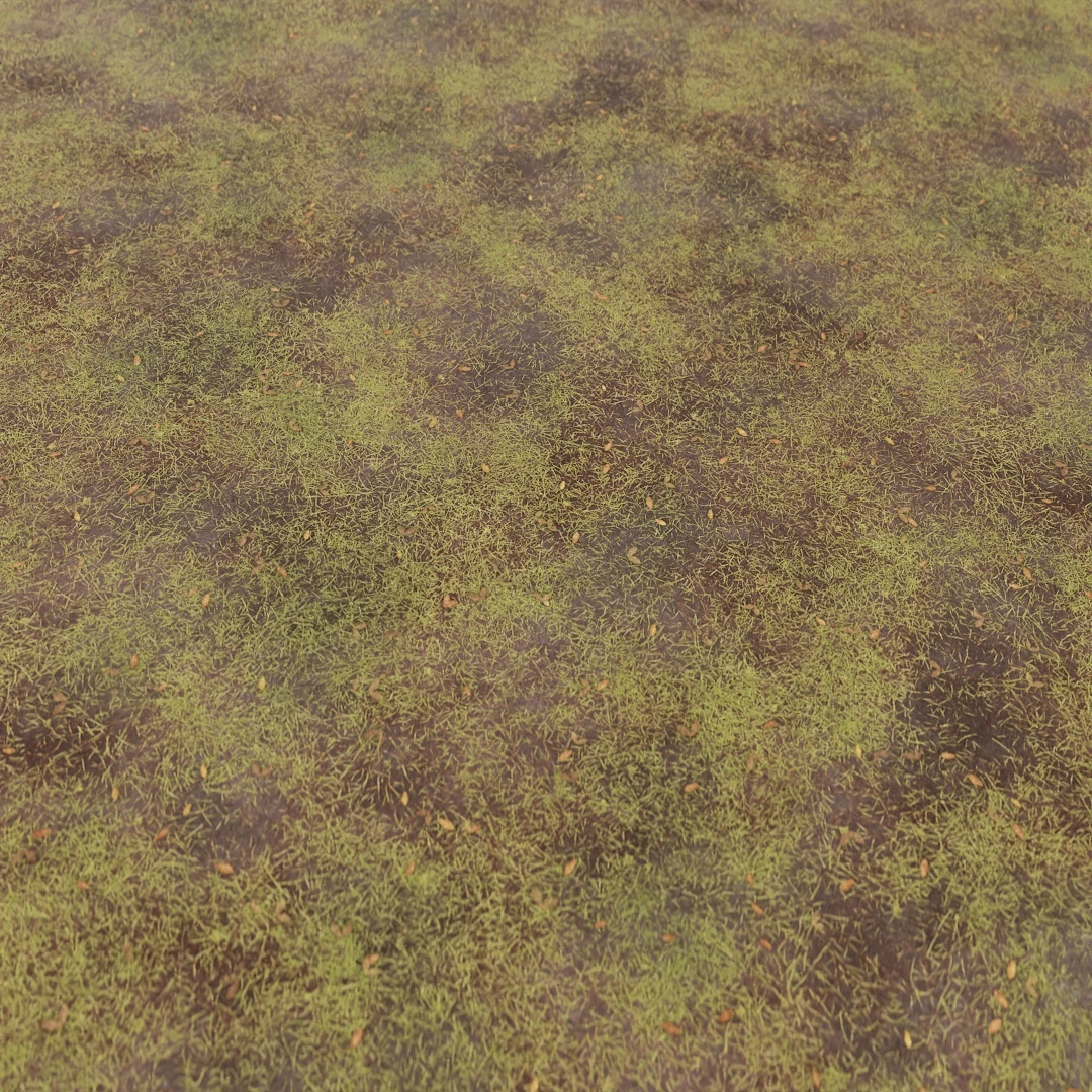 Earthy Moss Infused Grass Texture 4667 - LotPixel