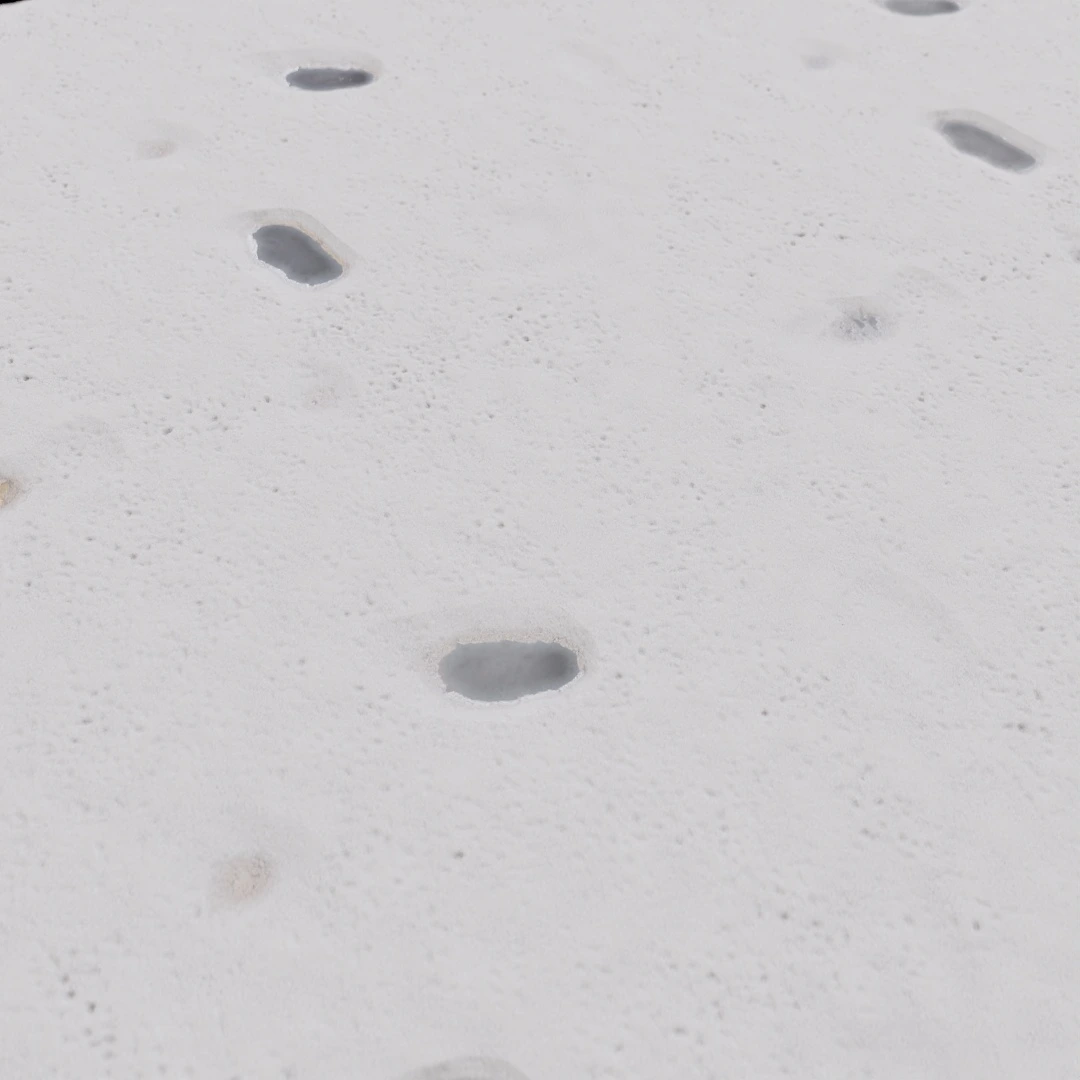 Footprint Laden Melting Snow Texture 4491 - LotPixel