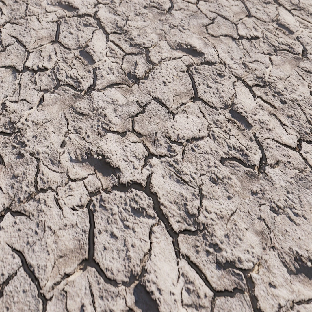Free Desert Arid Cracked Soil Texture 335 - LotPixel