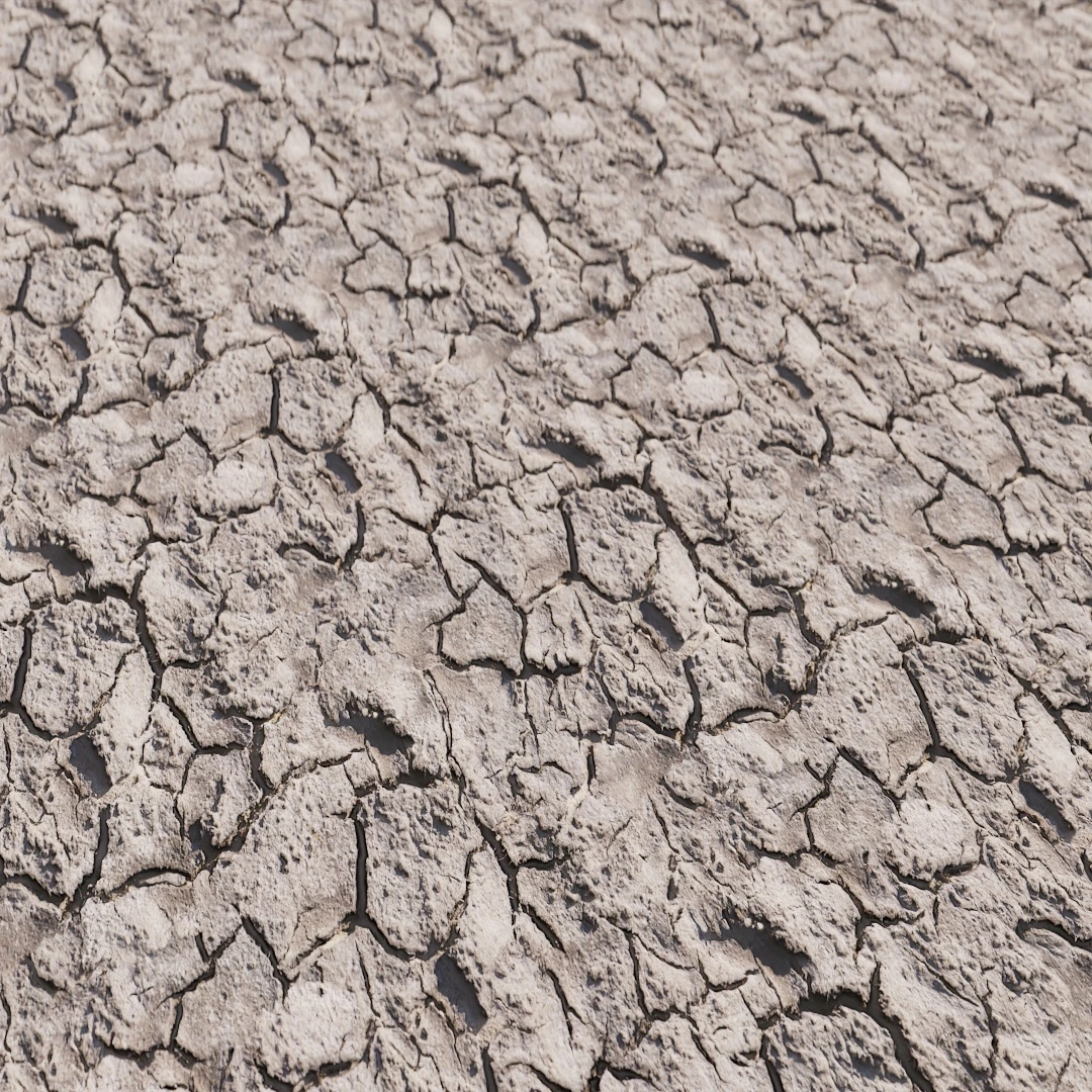 Free Desert Arid Cracked Soil Texture 335 - LotPixel