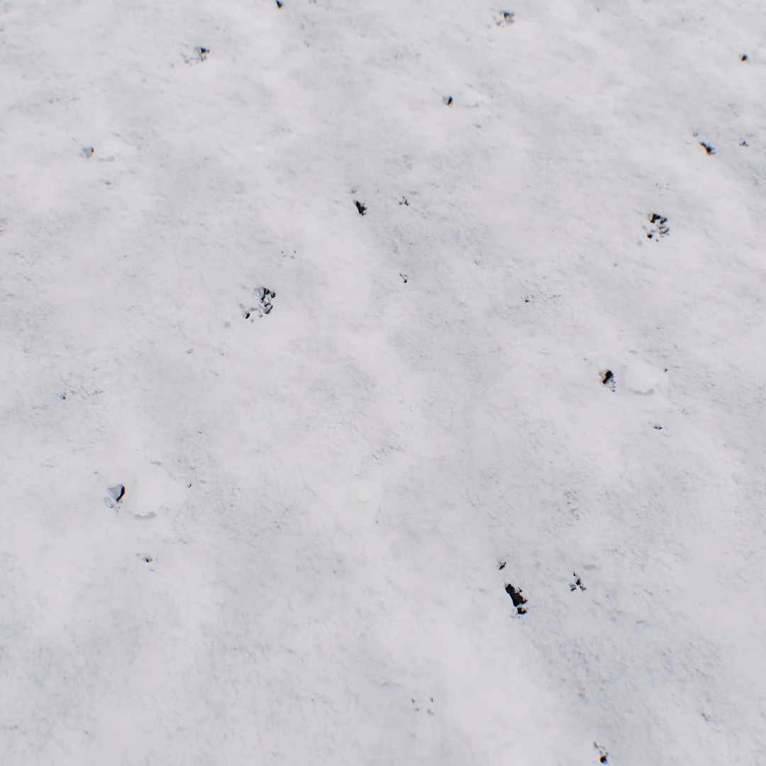 Fresh Footprint-Studded Snow Texture 3178 - LotPixel