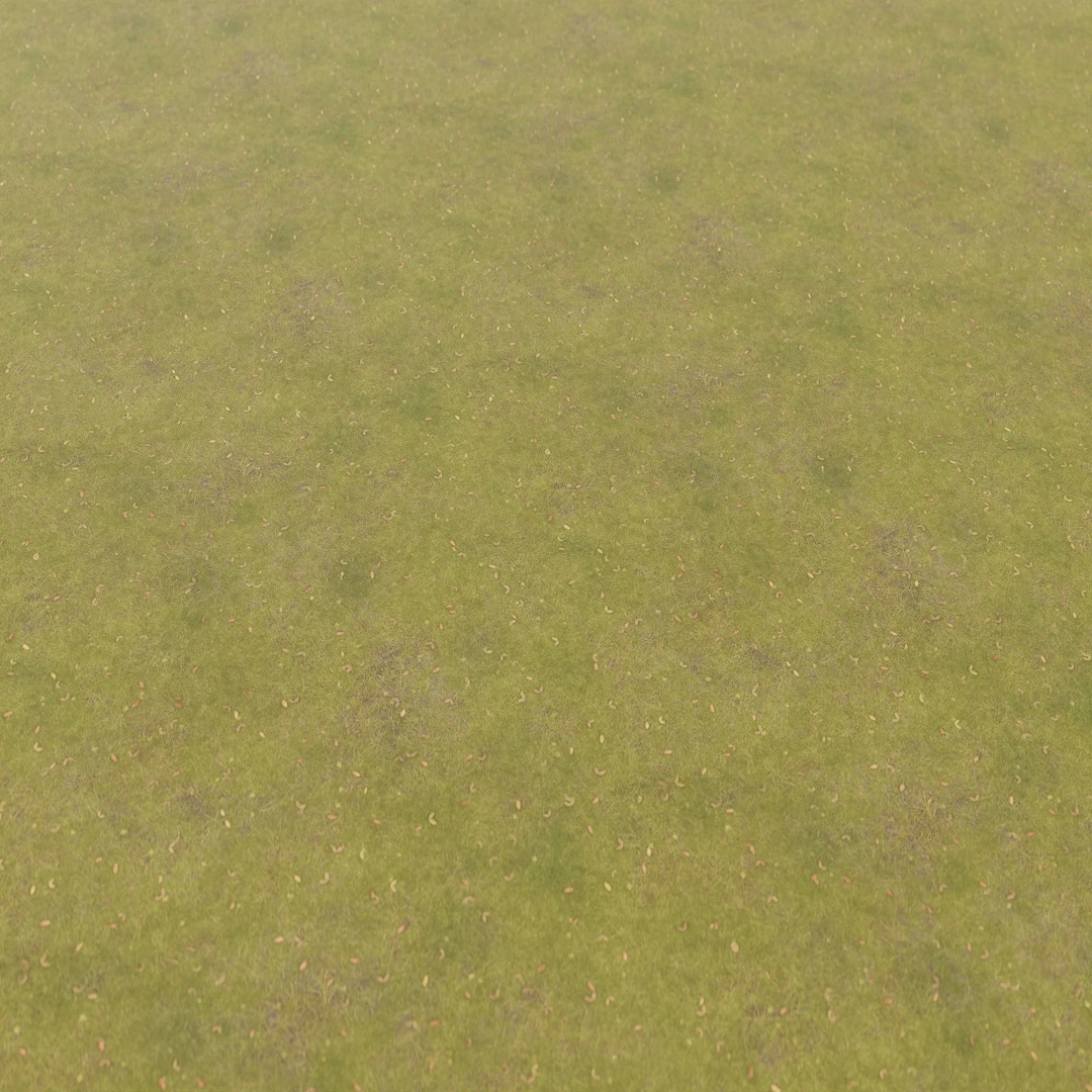 Lush Mossy Grassland Texture 4907 - LotPixel