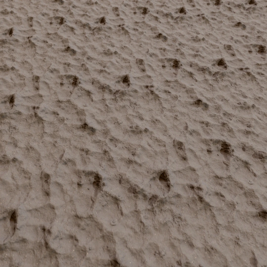 Rippled Seashore Footprint Texture 3863 - LotPixel