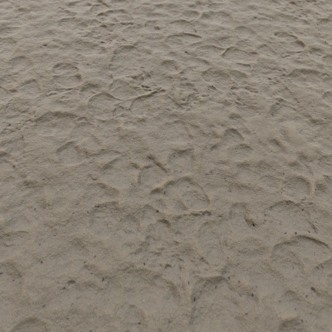 Smooth Coastal Footprint Texture 1227 - LotPixel