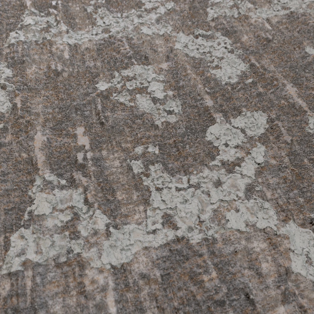 Tree Bark Texture 1724 - LotPixel