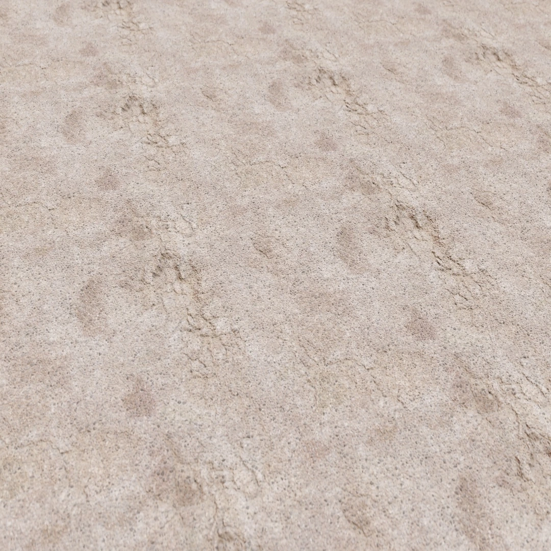 Urban Aged Cracked Asphalt Texture 3811 - LotPixel