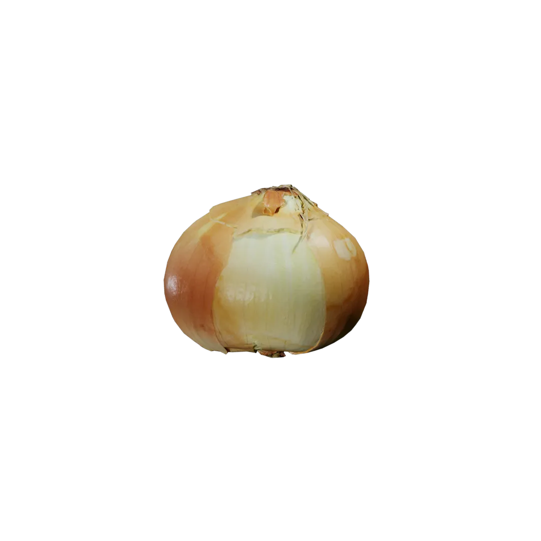 LotPixel - Onion 3D Model 70